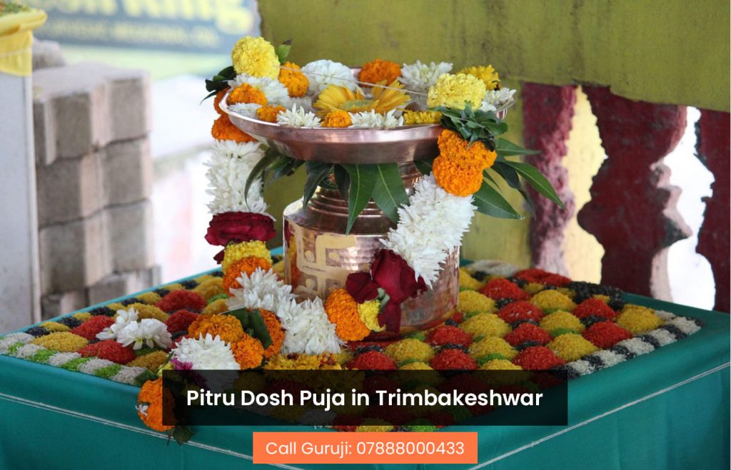 Pitru Dosh Puja in Trimbakeshwar | Trimbakeshwar Pandit
